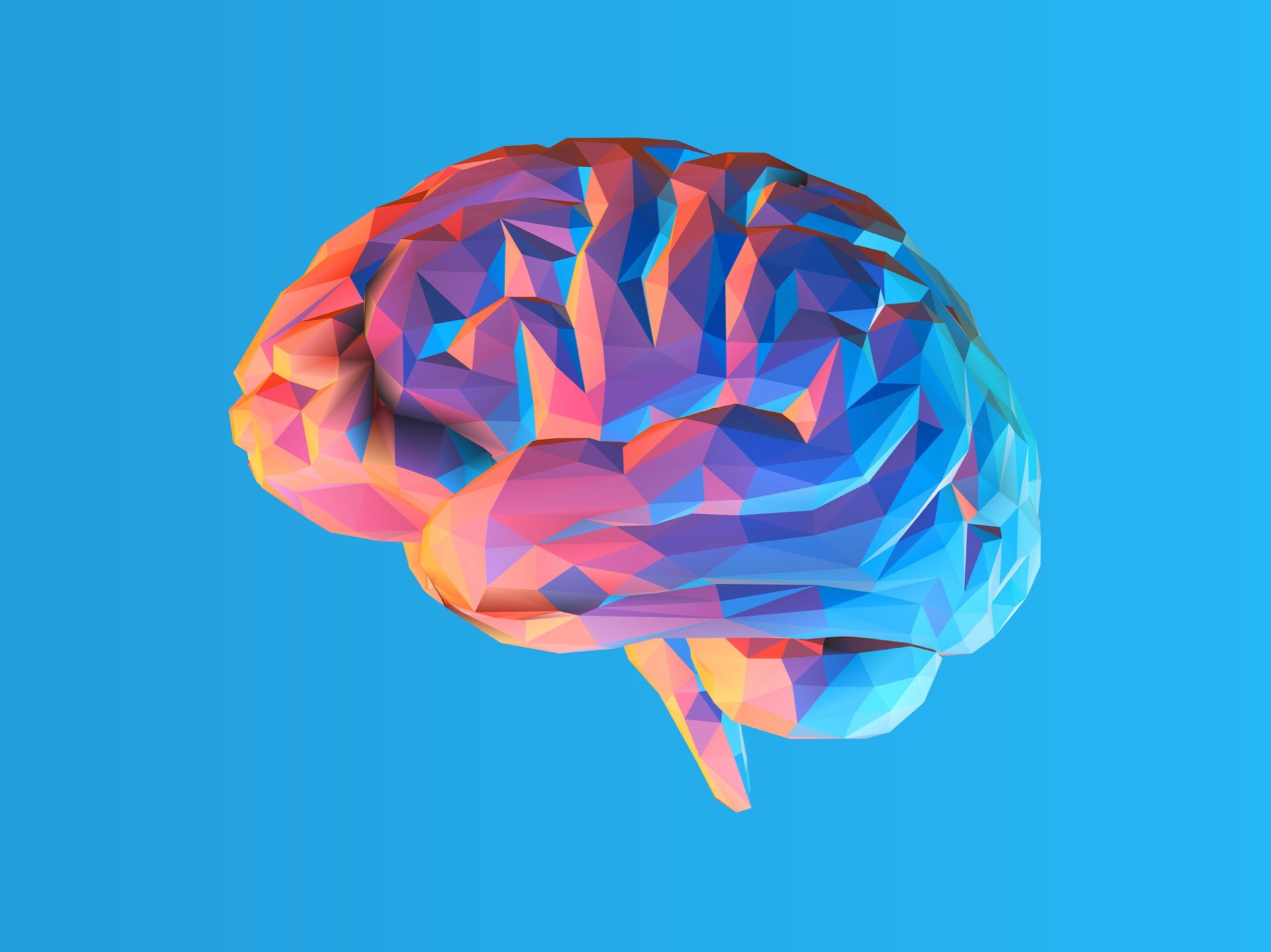 Brain Game brain-game